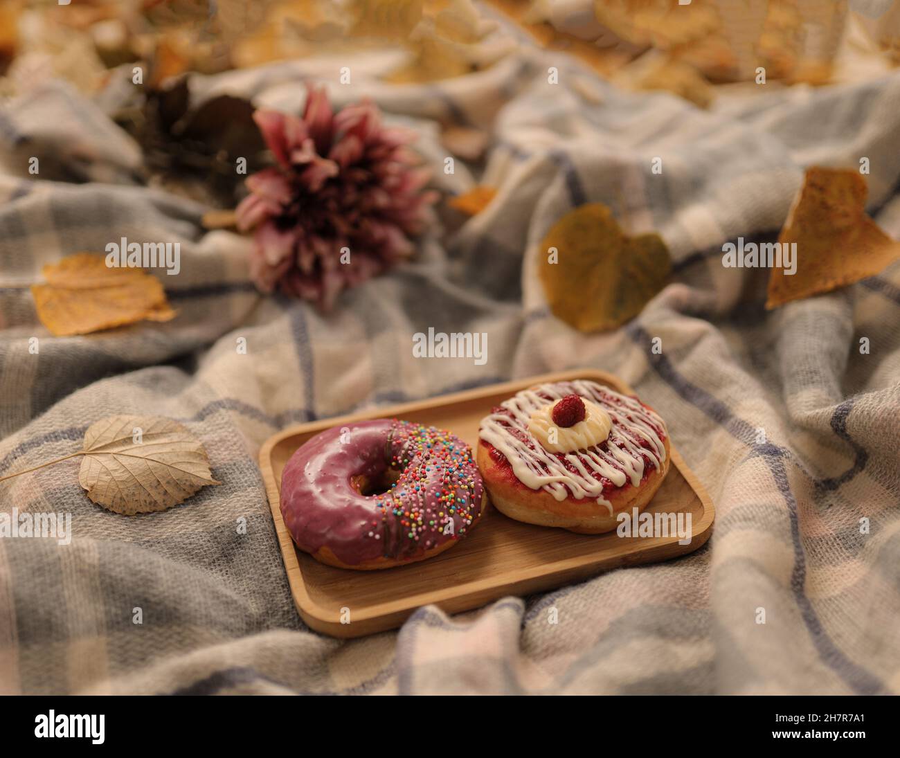 Picnic atmosphere hi-res stock photography and images - Alamy