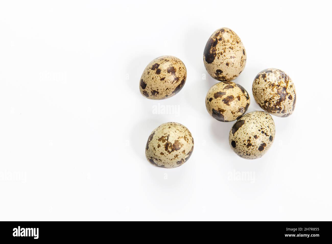 Rustic quail eggs are isolated on white. Copy space. Place for text ...