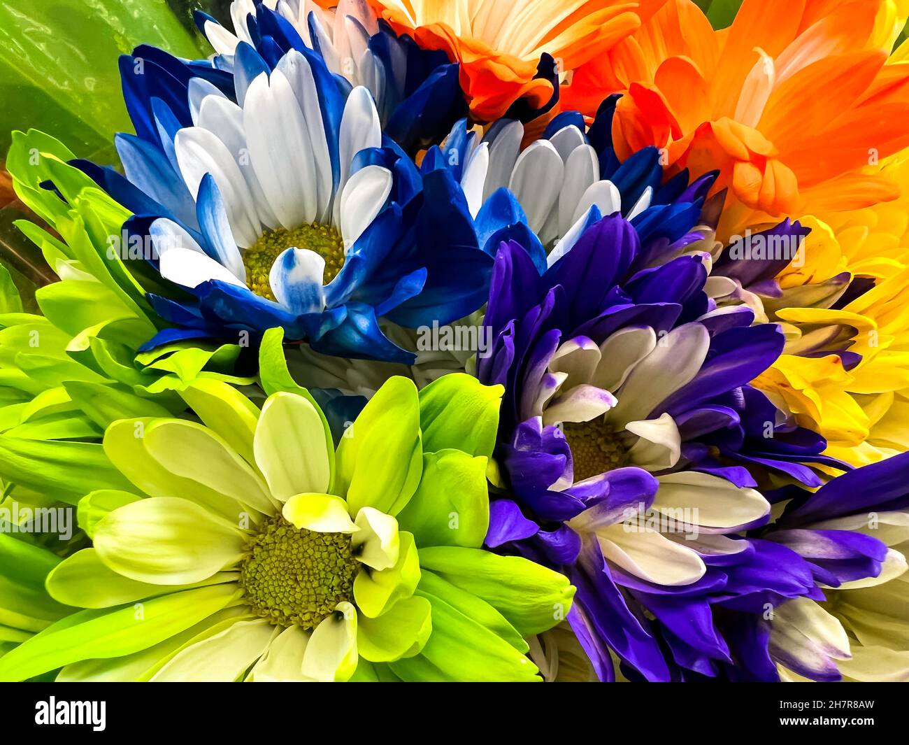 Nature concept Colorful spring flower background Stock Photo - Alamy