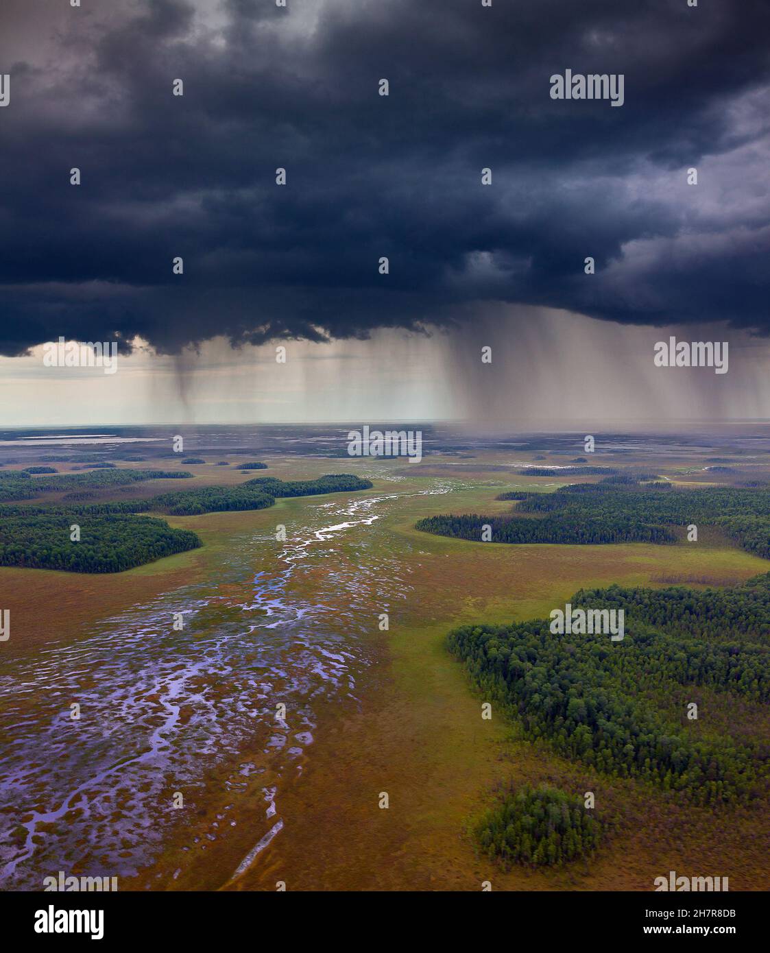 Aerial photography of the swamp. The rain is pouring down from the dark ...