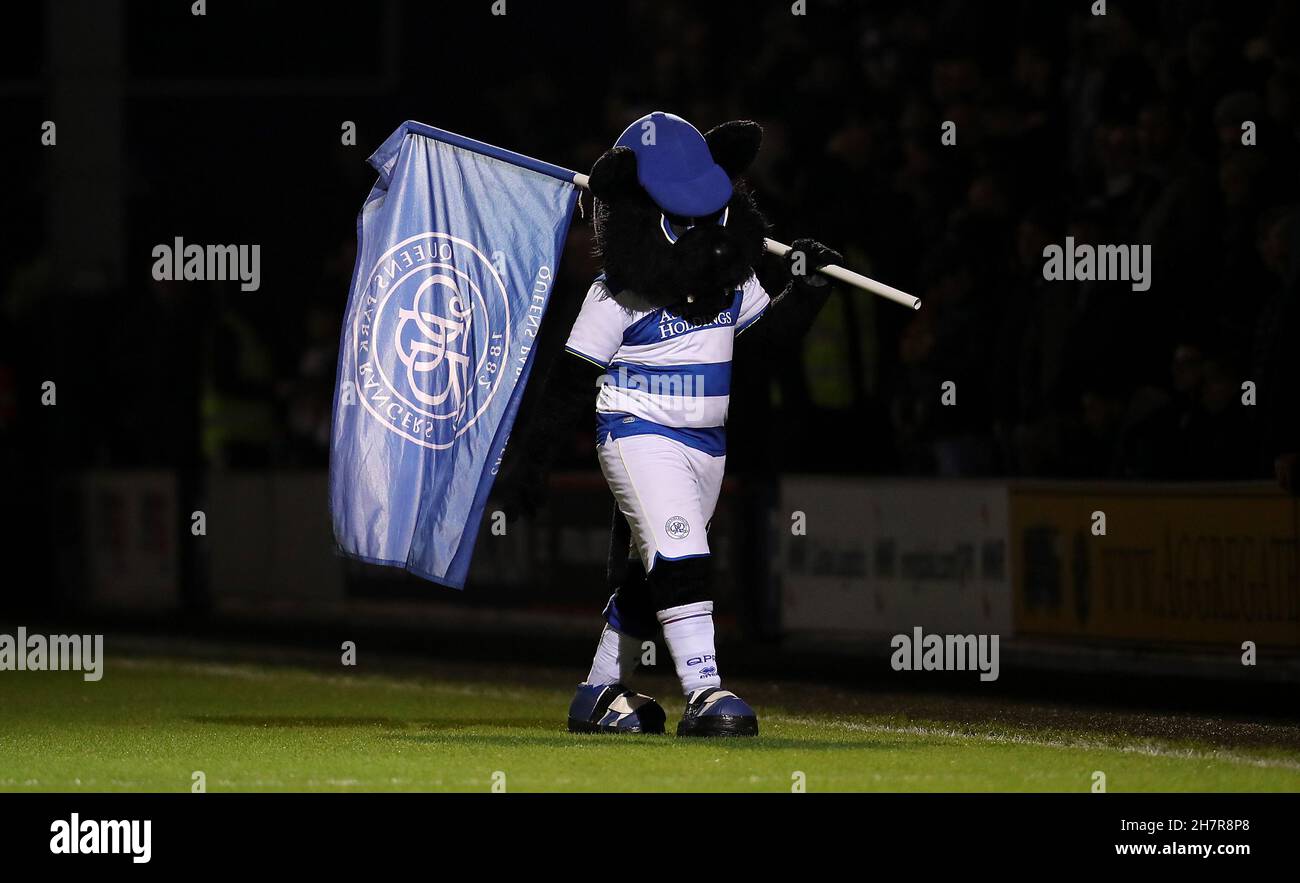 Queens park rangers mascot jude the cat hi-res stock photography and ...