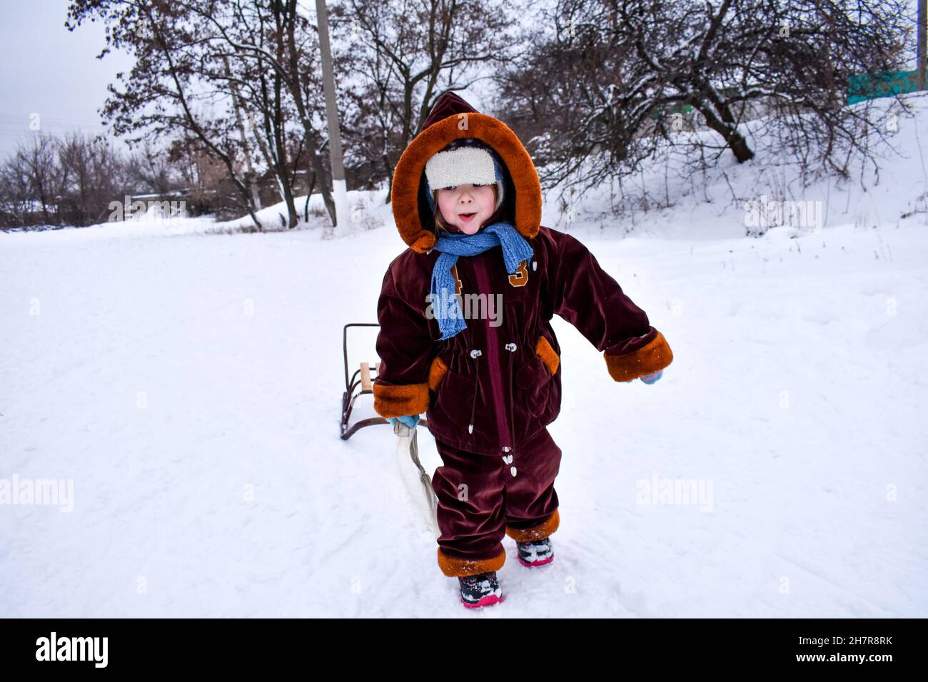 Little child pulling a sled in the snow. The kid is riding on a sleigh ...