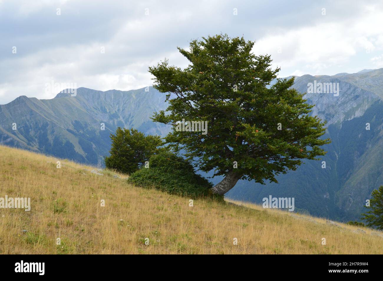 Hiking trail on Obalj peak, Bosnia and Herzegovina Stock Photo - Alamy