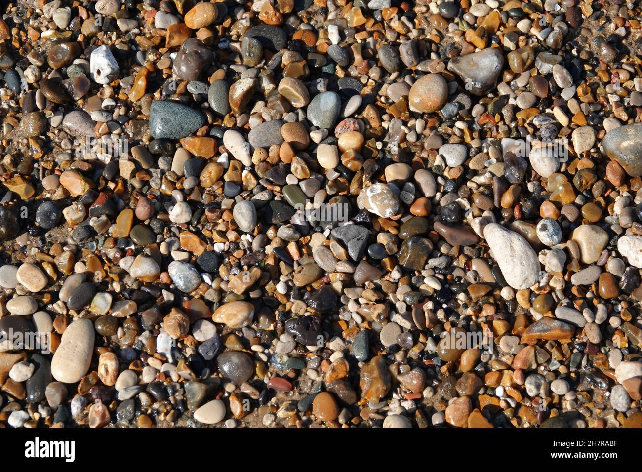 Closeup of Wet stones on a beach Stock Photo - Alamy