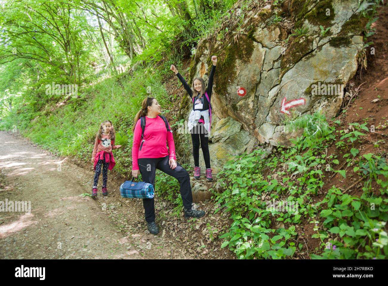Family hiking through summer forest. Mother and daughters walking on ...