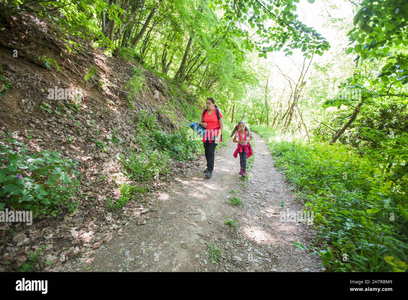 Family hiking through summer forest. Mother and daughters walking on ...