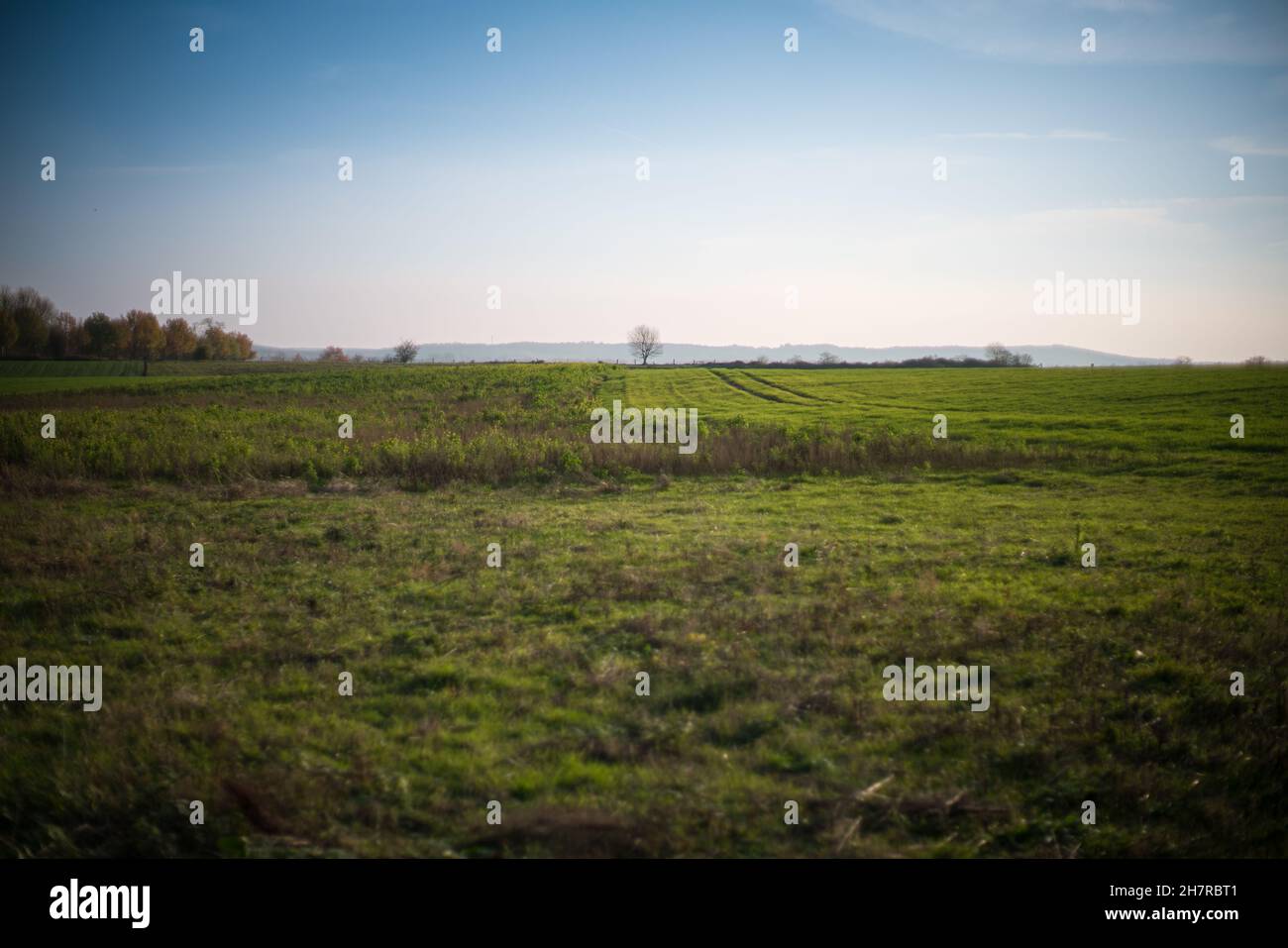 Field on a hill in summer vintage style Stock Photo - Alamy