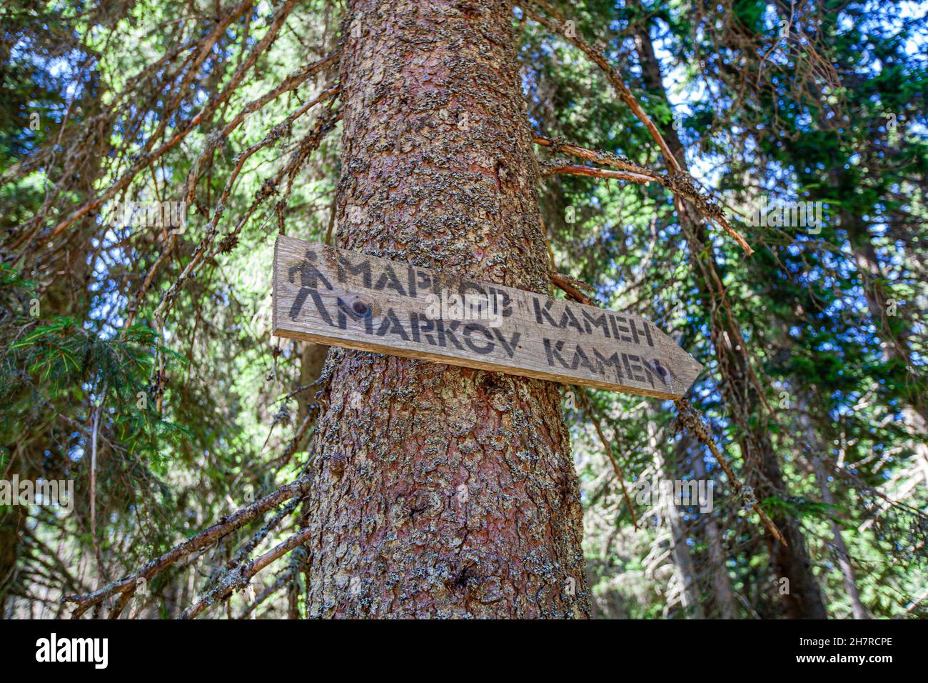 Wooden board pointing directions with a rustic arrow , providing ...