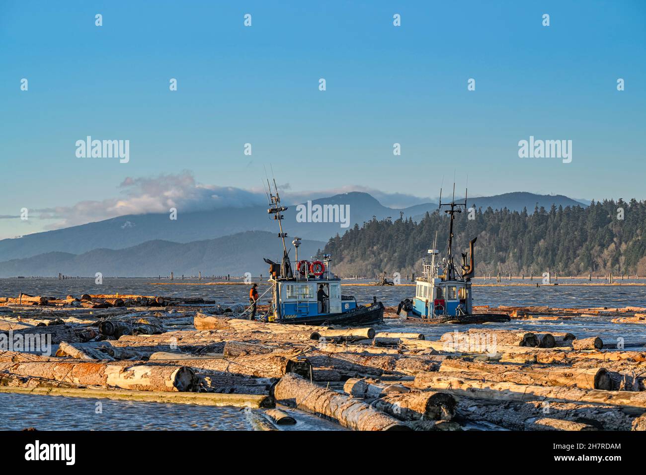 Log boom british columbia hi-res stock photography and images - Alamy