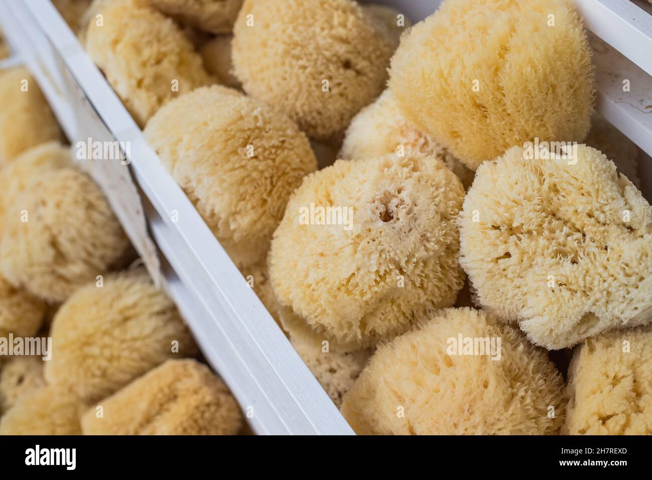 Natural sponge isolated on white Stock Photo - Alamy
