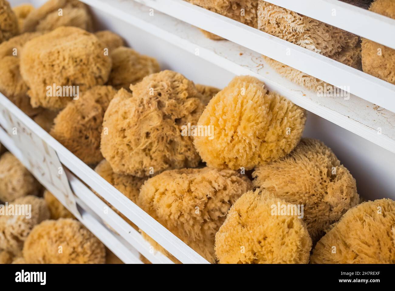 Natural sponge isolated on white Stock Photo - Alamy