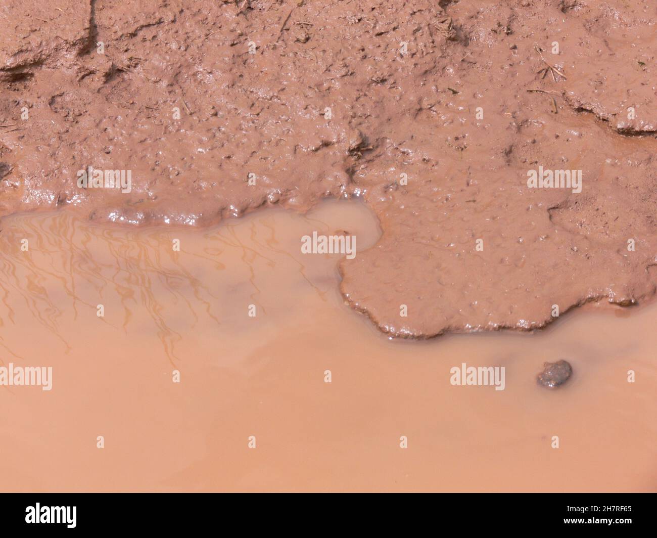 Wet mud is like clay in Northern Arizona Stock Photo - Alamy