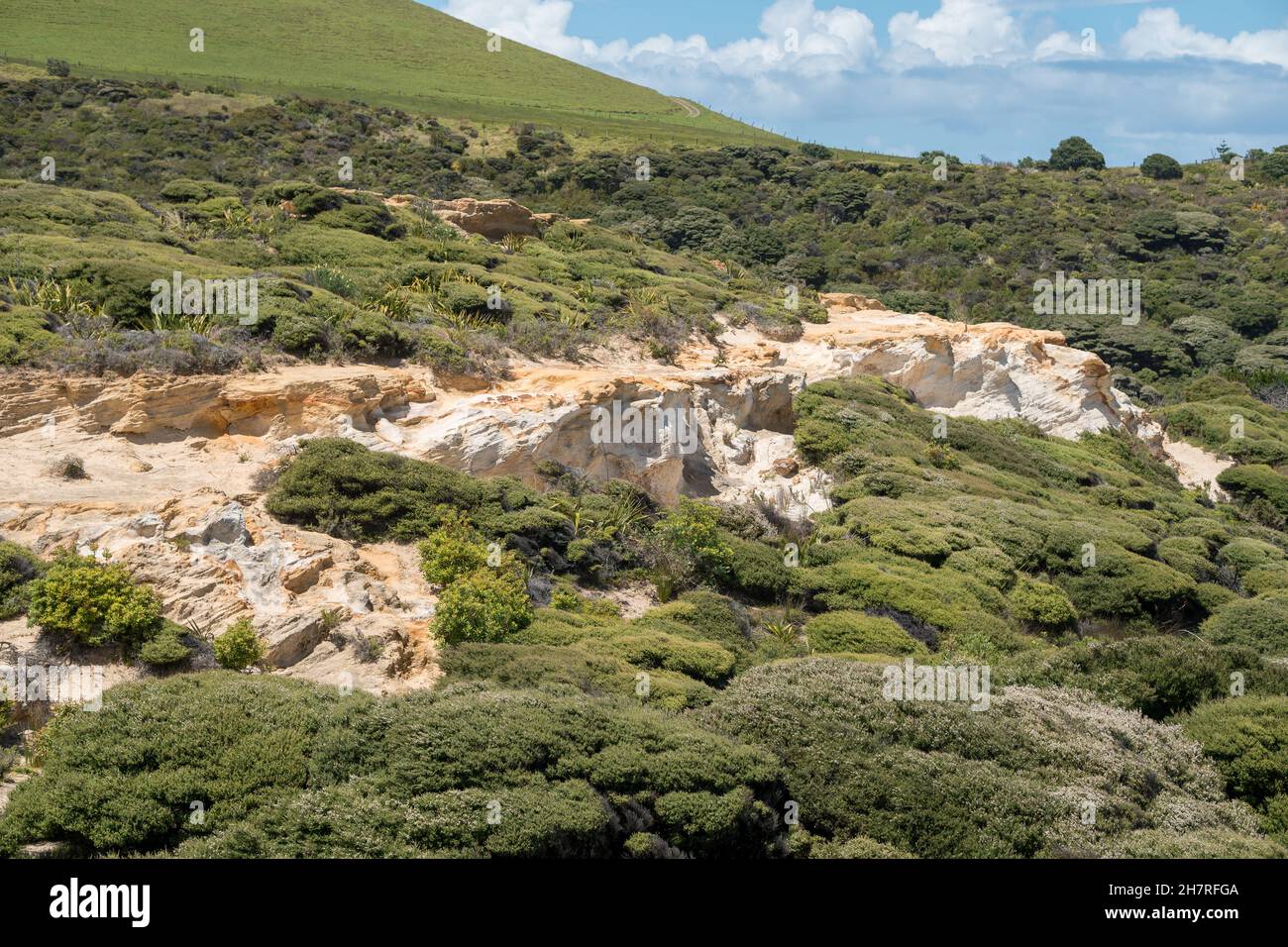 Omapere, Signal Station South Head, north island, New Zealand Stock ...