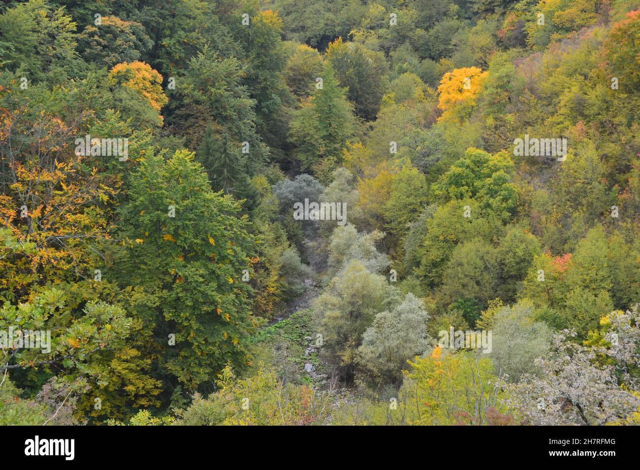 Bobovac hi-res stock photography and images - Alamy