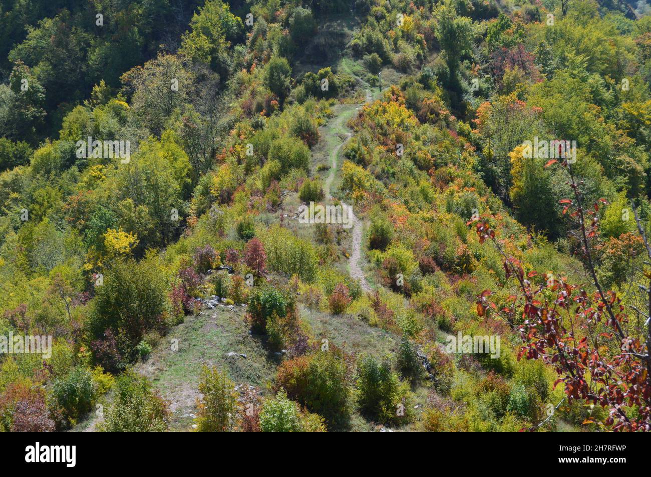 Bobovac hi-res stock photography and images - Alamy