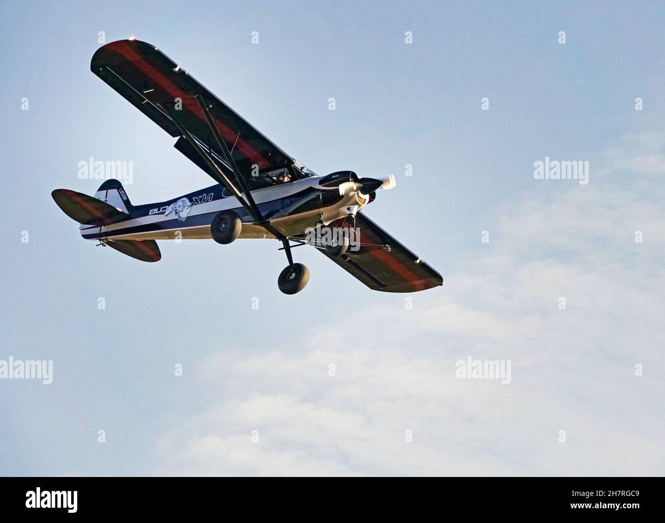 A piper Cub, single engine aircraft, on a landing pattern at a small ...