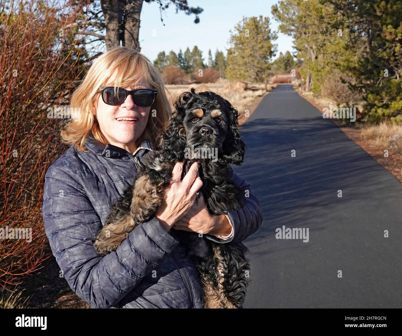 A middle-aged woman on a country walk with her Amcerican Cocker Spaniel ...