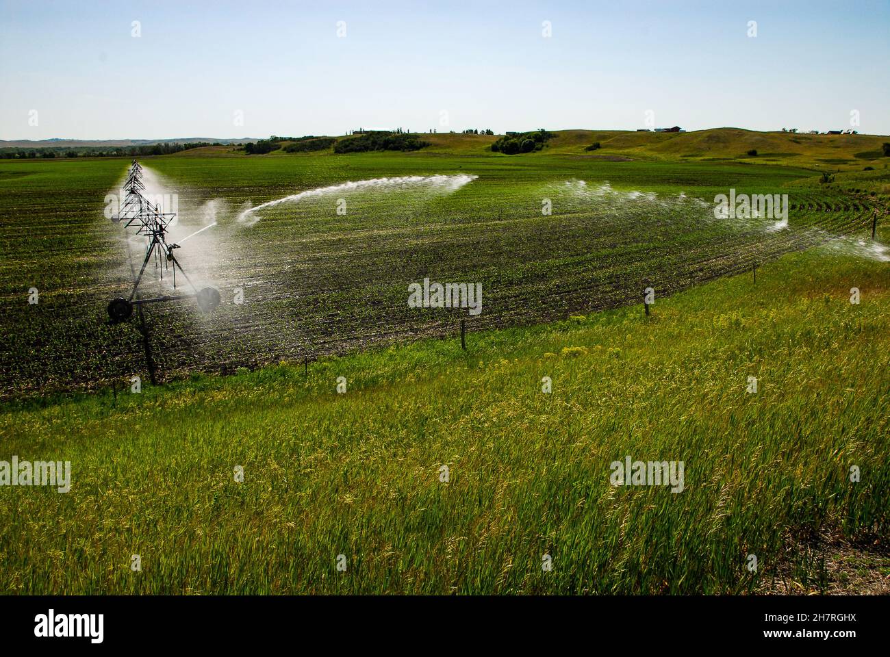 Water irrigation large scale hi-res stock photography and images - Alamy