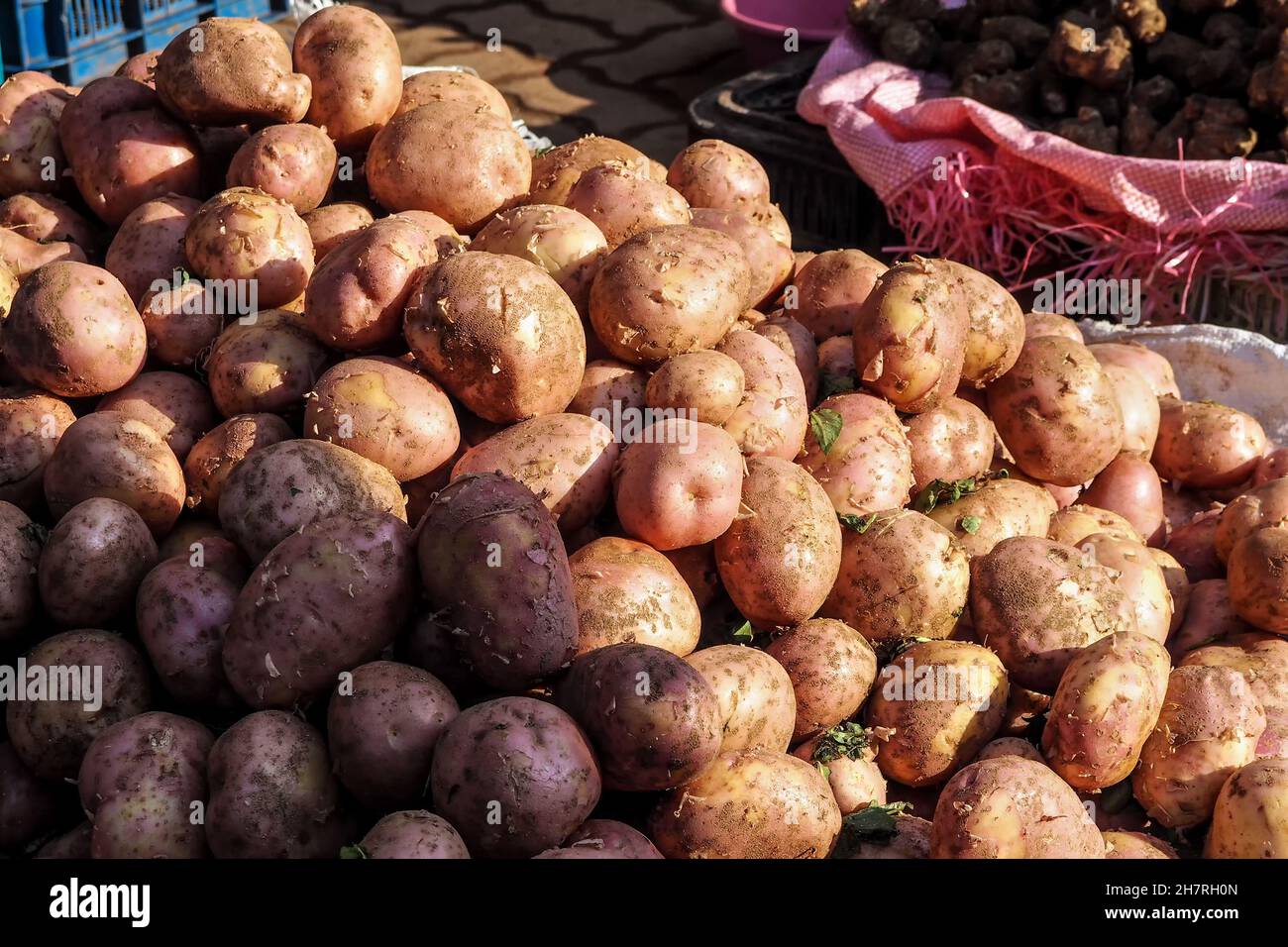 Sunlight freshness potatoes hi-res stock photography and images - Alamy