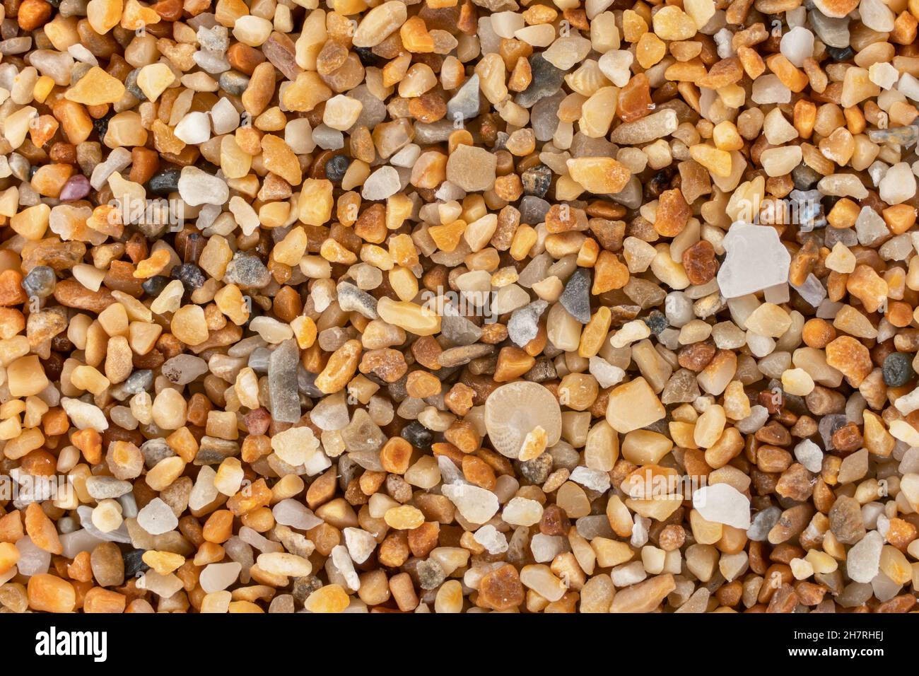 Sand particles grains of sand hi-res stock photography and images - Alamy