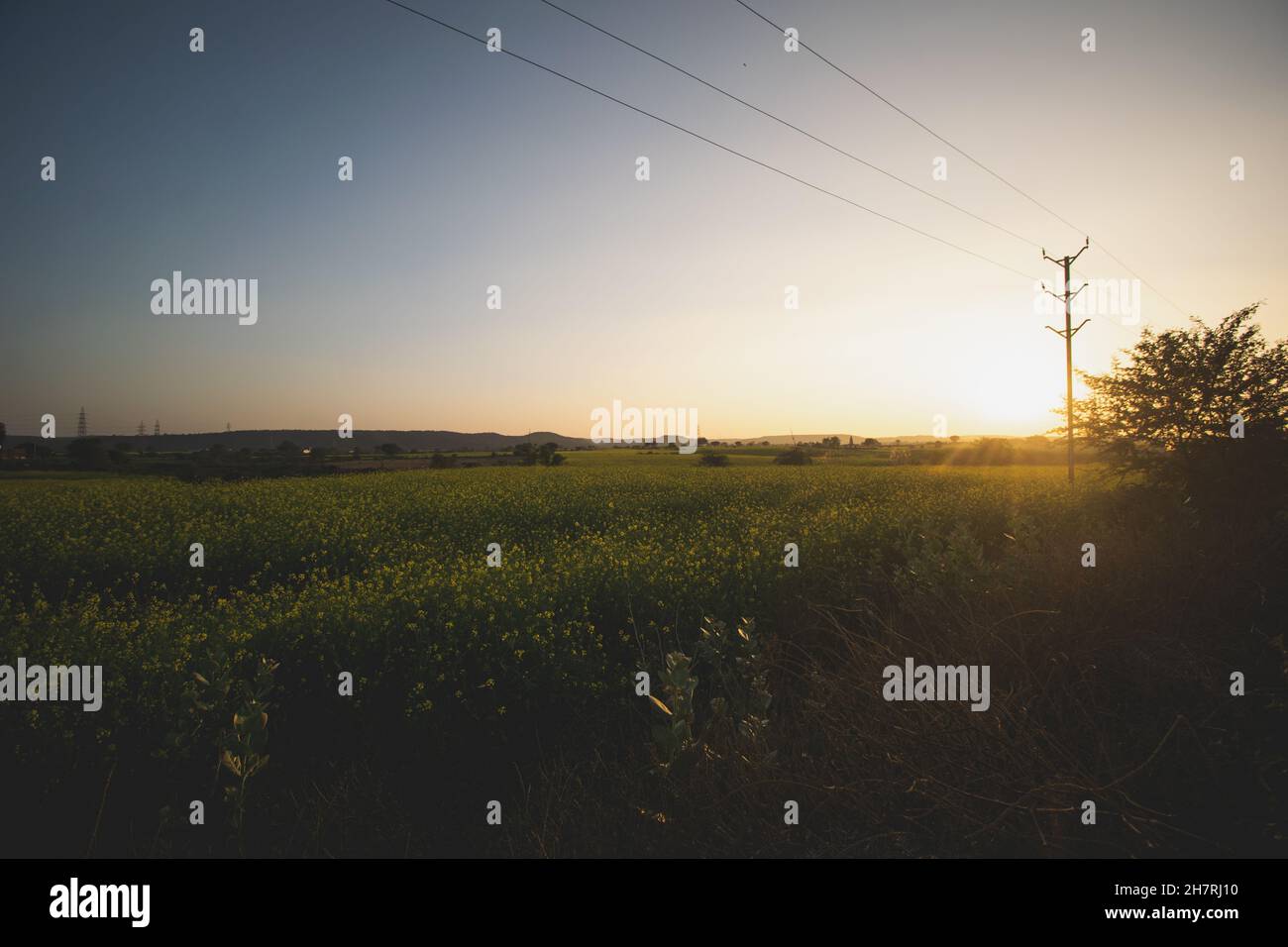 Beautiful shot field sunset hi-res stock photography and images - Alamy