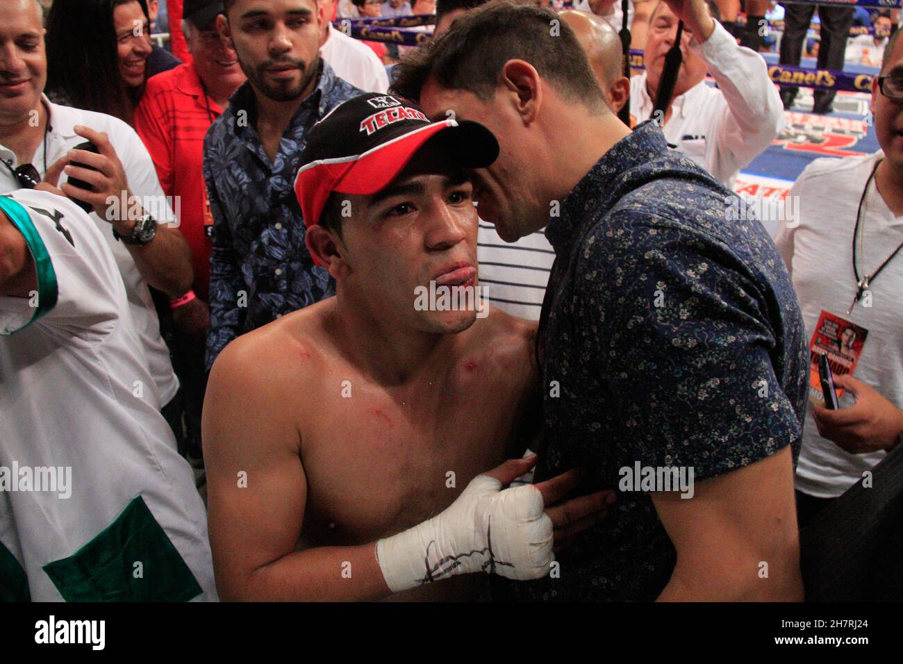 Pelea de box hi-res stock photography and images - Alamy