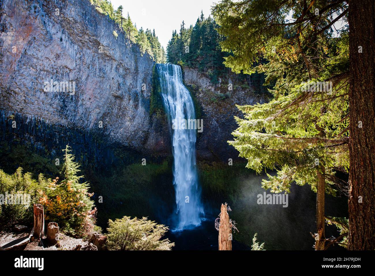 Oregon environment hi-res stock photography and images - Alamy