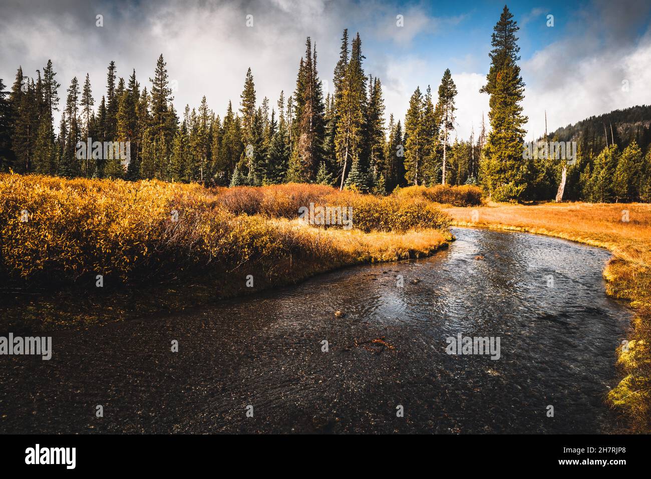 Dramatic colors of water stream in grassland Stock Photo - Alamy