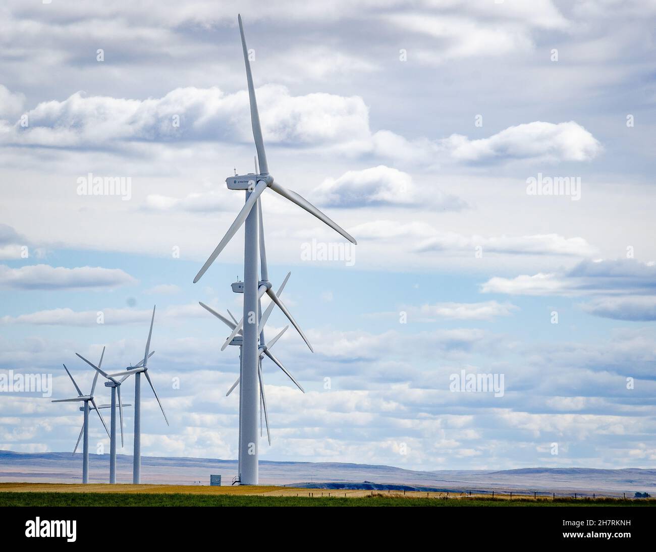 Row of huge, white wind turbines in a large field Stock Photo - Alamy