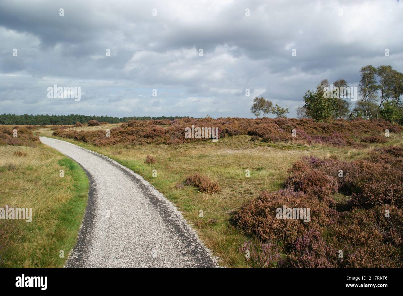 HOGE VELUWE, NETHERLANDS - Sep 24, 2011: The cloudy gloomy sky over the ...