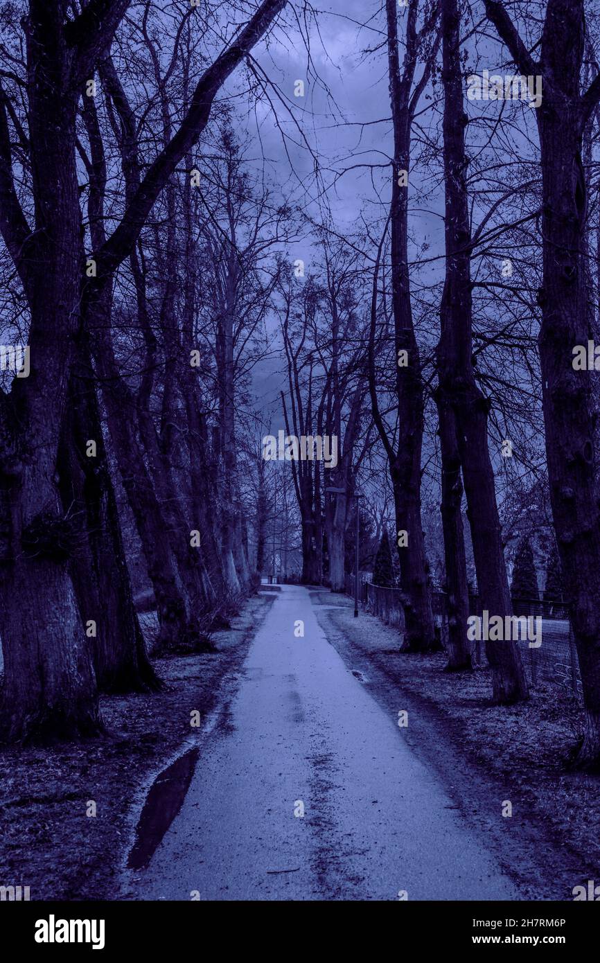 Spooky footpath hi-res stock photography and images - Alamy