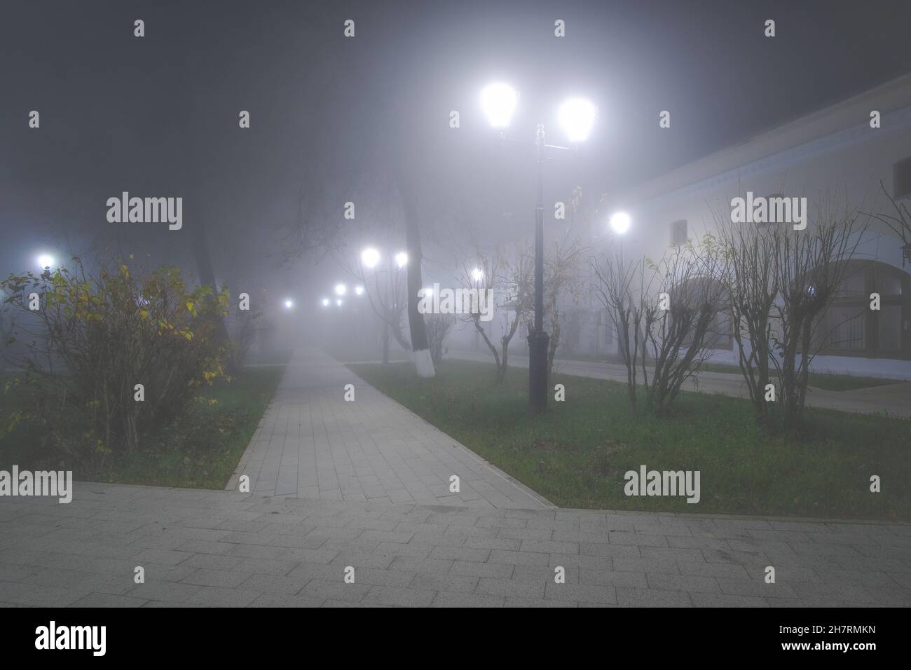 Bright lanterns in dense fog at night in a city park. Soft focus. Foggy ...