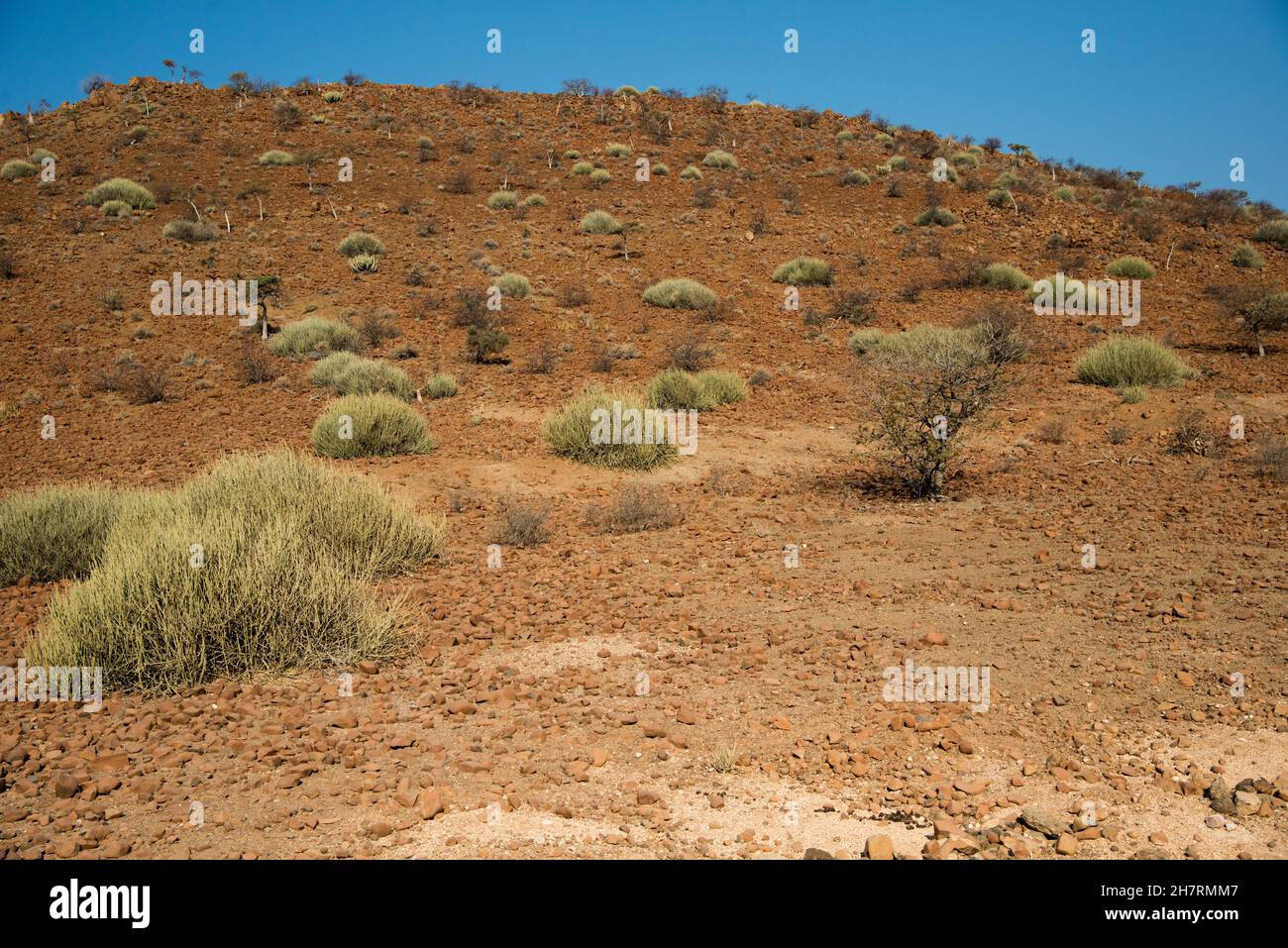Dry landscape in Damaraland. Sunny day, no people. Namibia. Africa ...