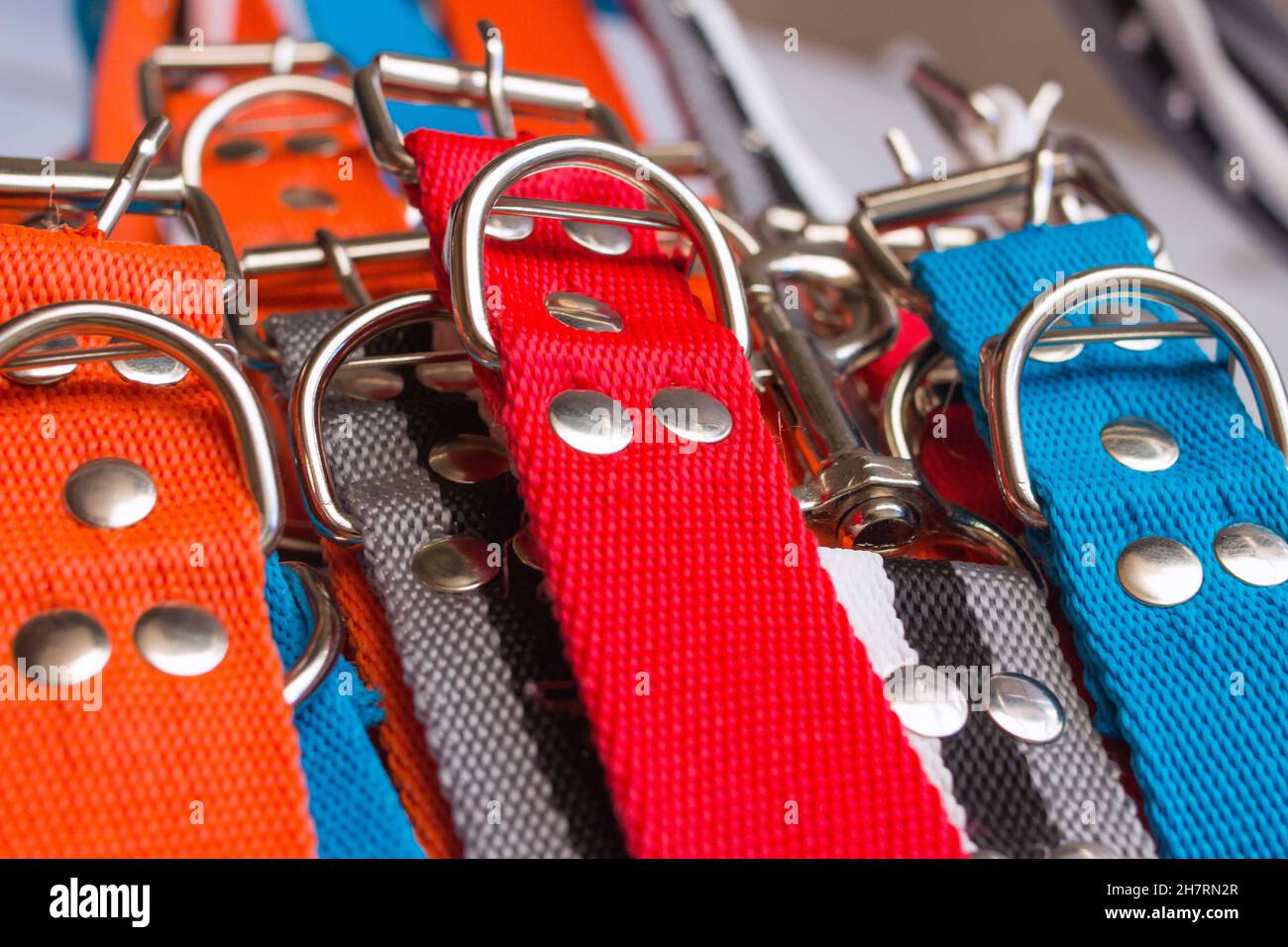 Closeup shot of collars for pets of different colors in a factory Stock ...