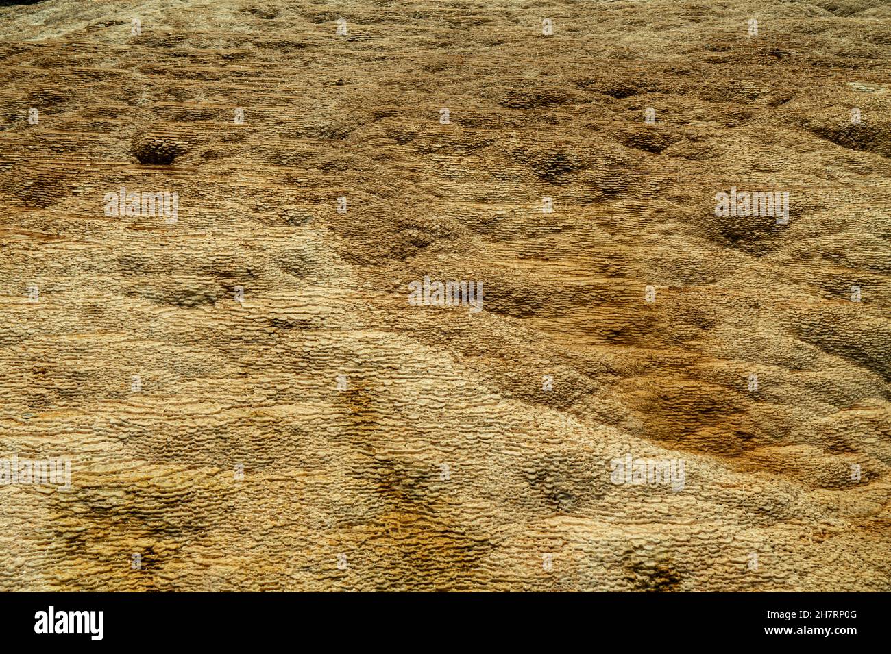 Yellow rough rocky surface in the Yellowstone National Park, US Stock ...