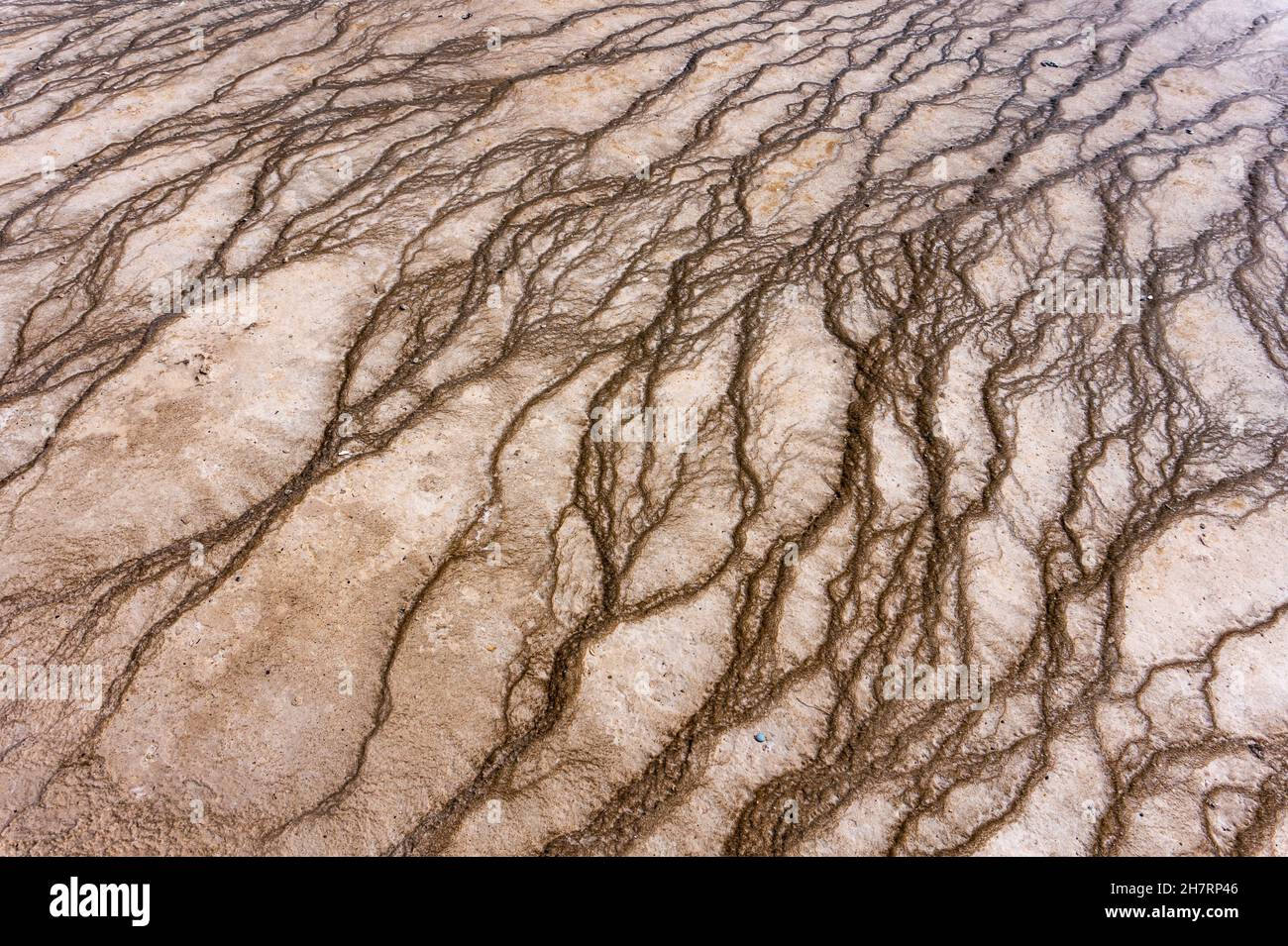 Dry soil texture with vain cracks in Yellowstone National Park, US ...
