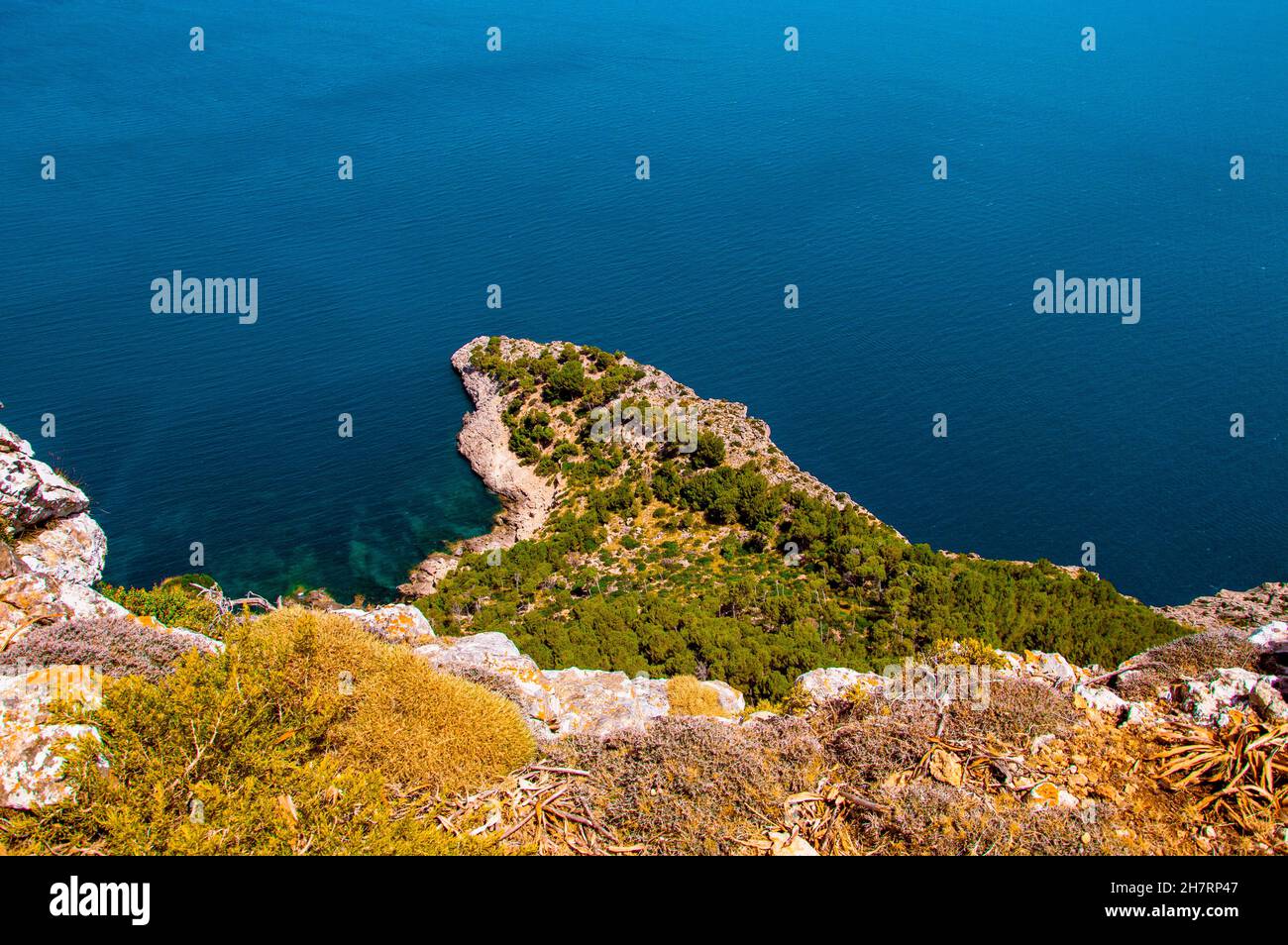 Small cape with green trees going into the blue sea aerial view Stock ...