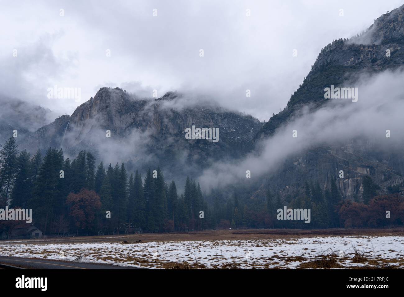 Landscape of colorful trees of Yosemite National Park on a foggy gloomy ...