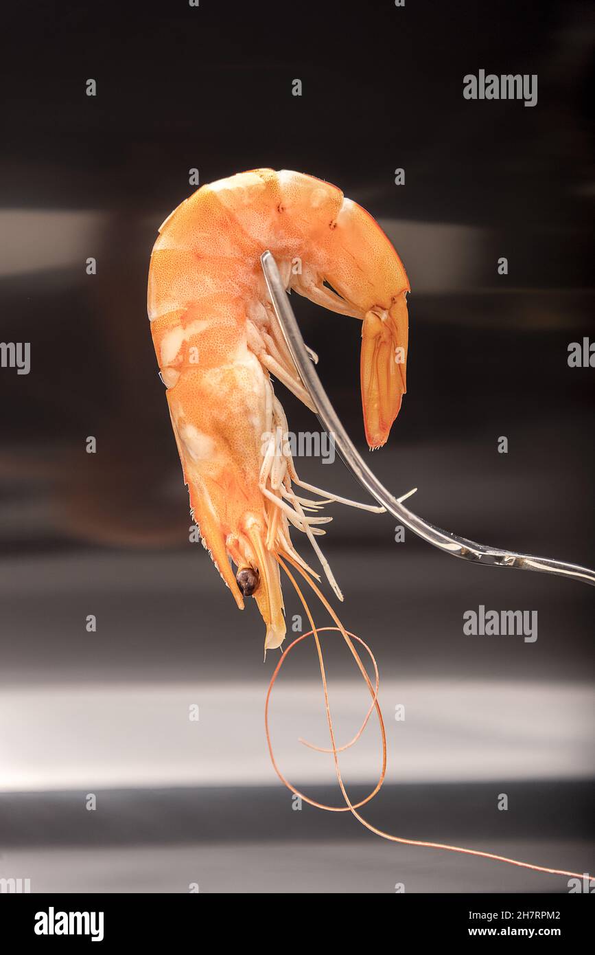 Roasted tails of shrimps with fresh rosemary and lemon Stock Photo - Alamy