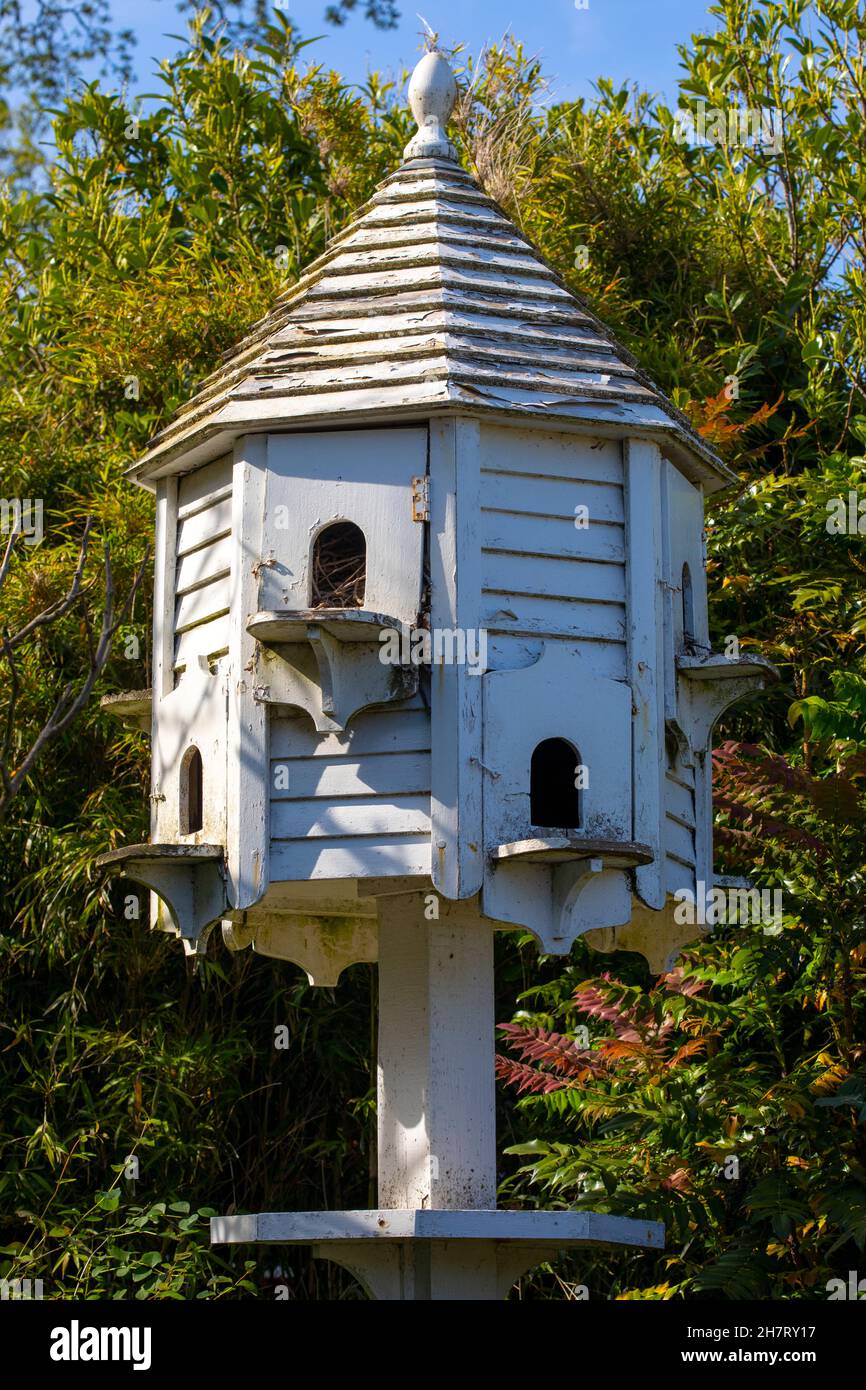 A large bird box in the beautiful Lost Gardens of Heligan in Cornwall ...