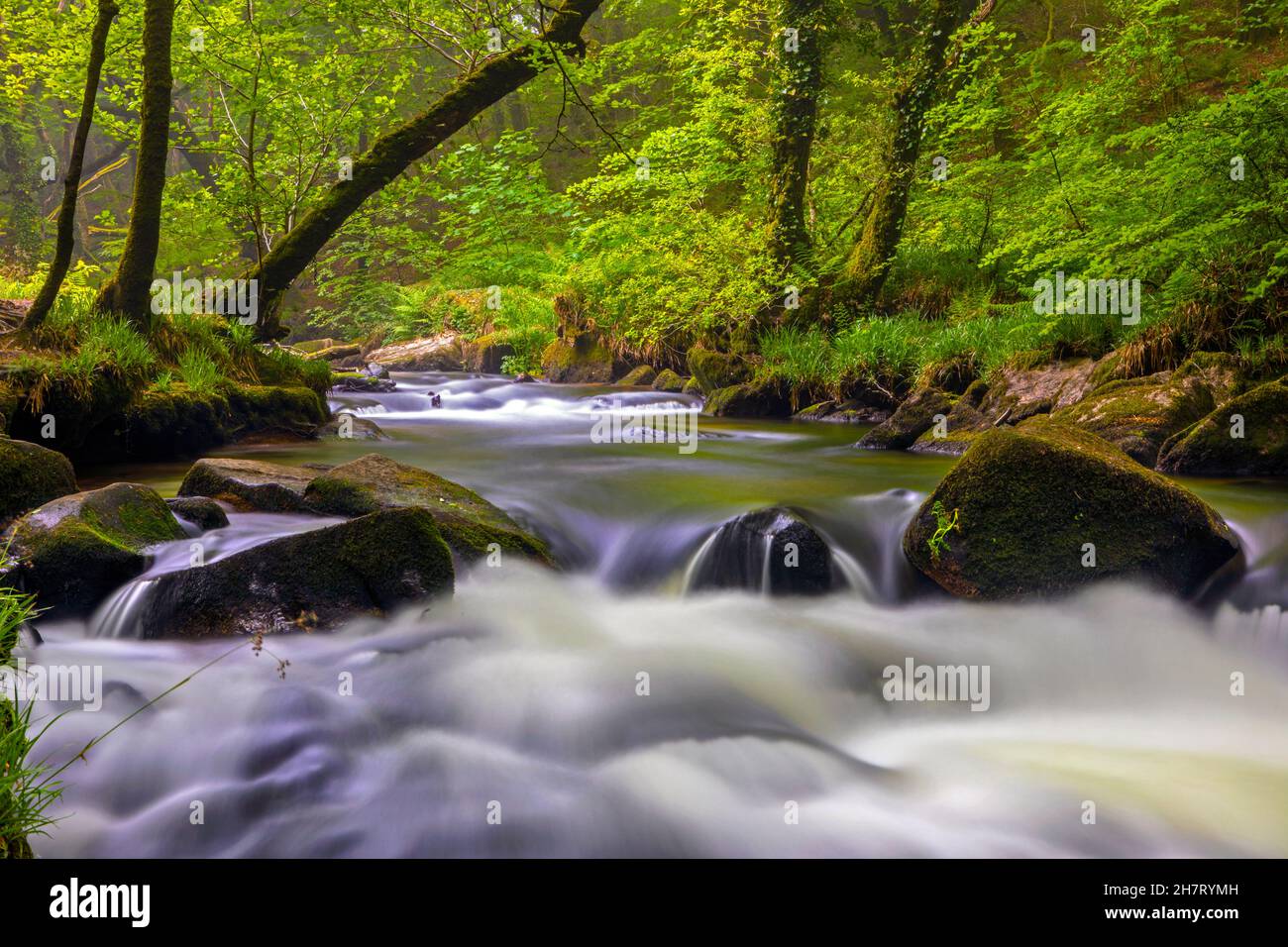 Fowey tourist attractions hi-res stock photography and images - Alamy