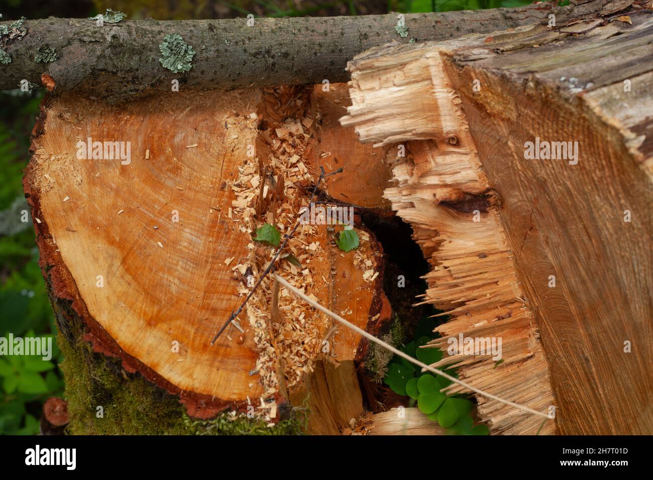 Recently demolished hi-res stock photography and images - Alamy