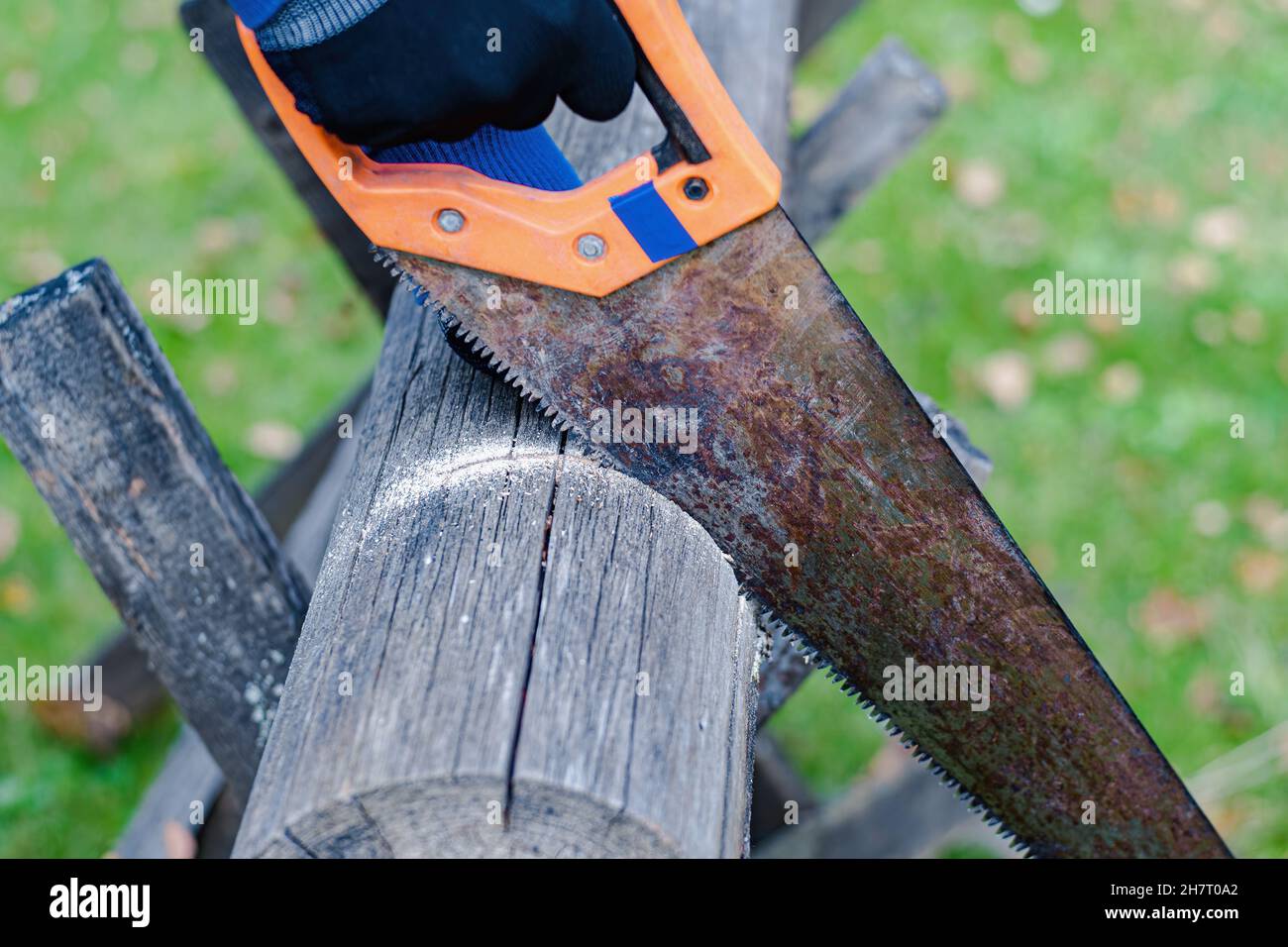 Log saws hi-res stock photography and images - Alamy