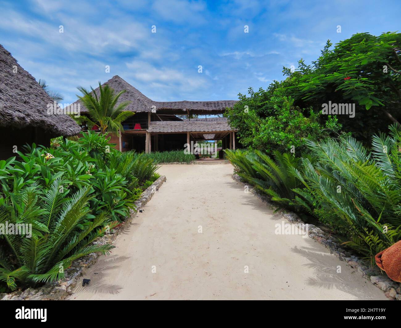 Beautiful view of a sandy path with trees on under a cloudy sky in ...