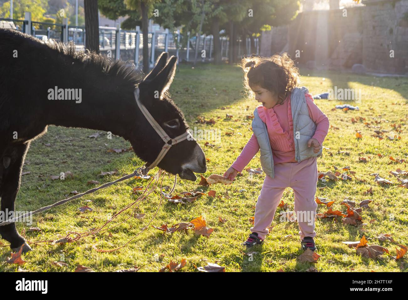 Bright summer day in the rural countryside with a young child playing ...