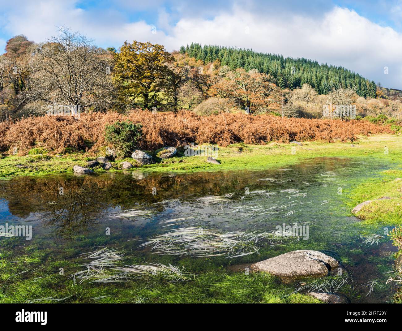 Frozen Grass in Autumn Colours over River Dart in long exposure ...