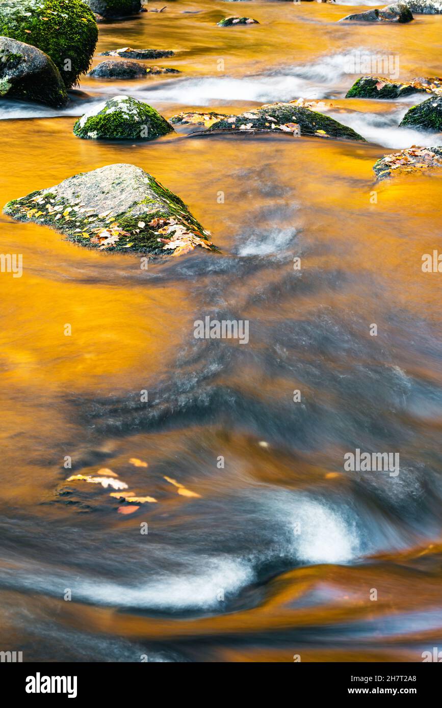 The Amber River or The Golden River, River Dart in Autumn Colours ...