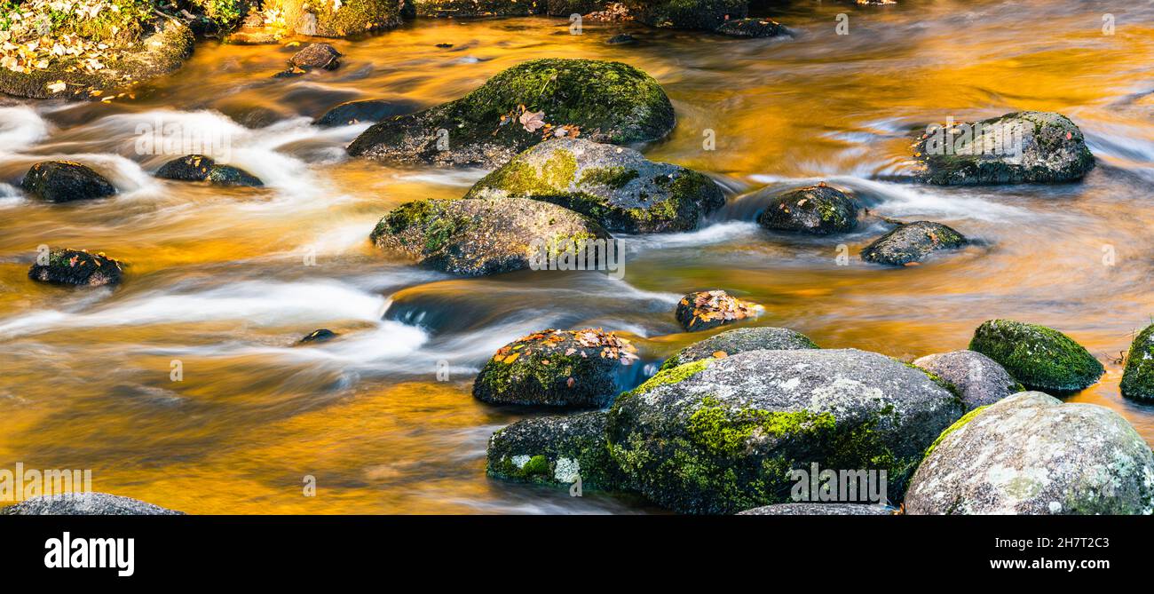 The Amber River or The Golden River, River Dart in Autumn Colours ...