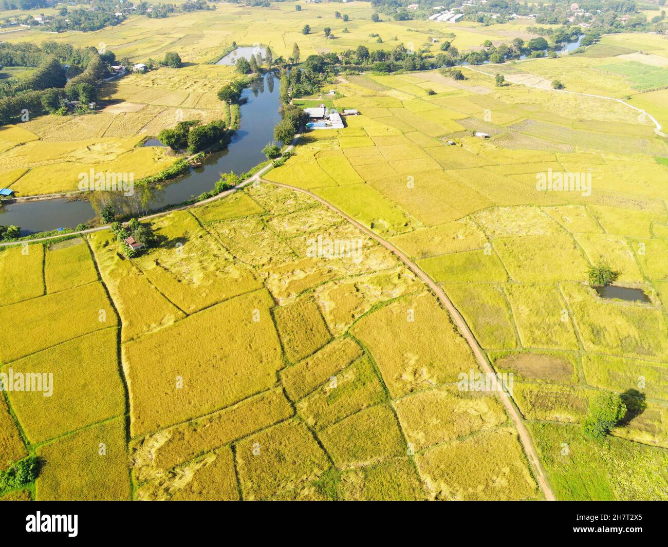 Aerial view field environment forest nature agricultural farm ...