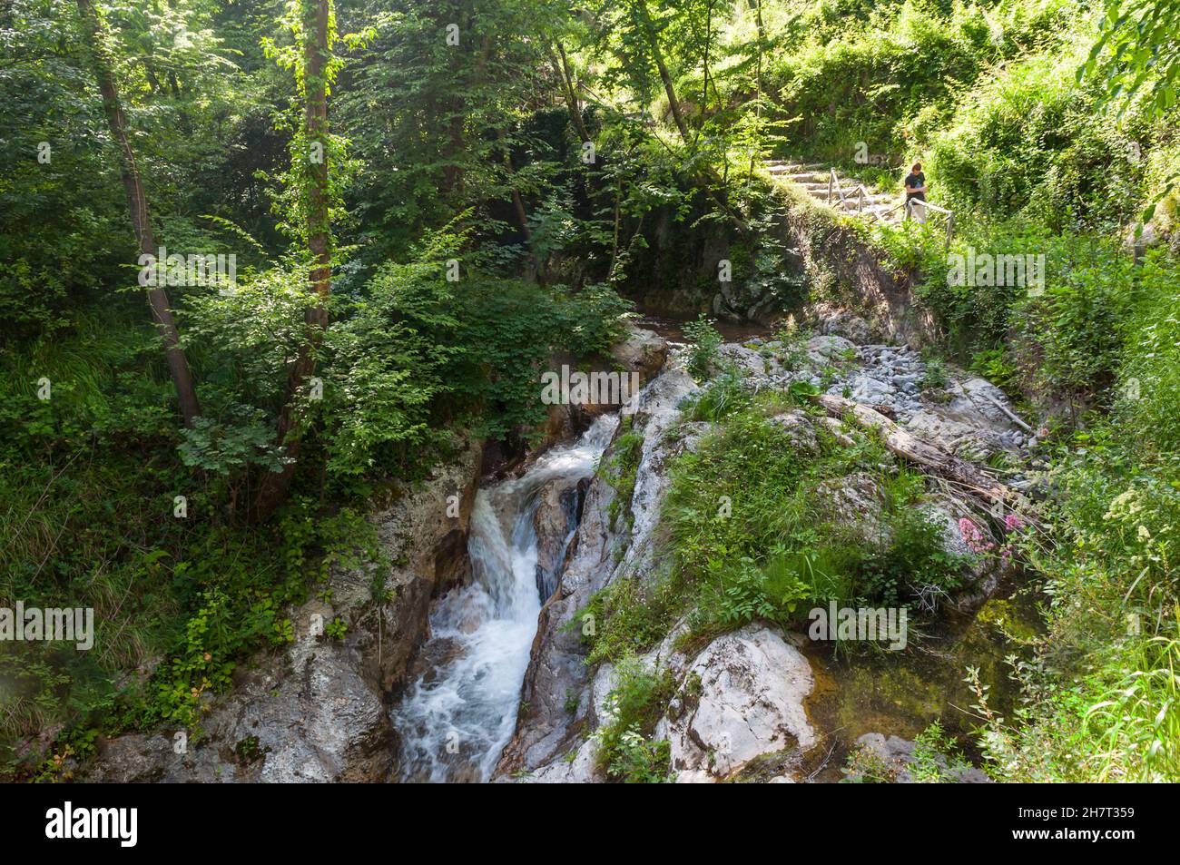 A lively stream rushes down the rocks in the Valle delle Ferriere ...
